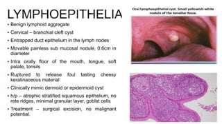 Non odontogenic cyst | PPTX