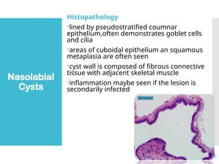 non odontogenic cysts, classification ex | PPT