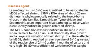 non oie listed viral diseases of shellfish.pptx