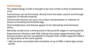 non oie listed viral diseases of shellfish.pptx