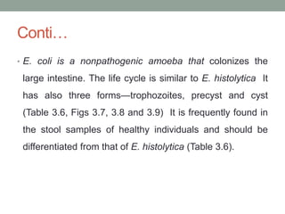 nonpatogenic intestinal amoeba. lecture 4 chapter 3.pptx | Digestive ...