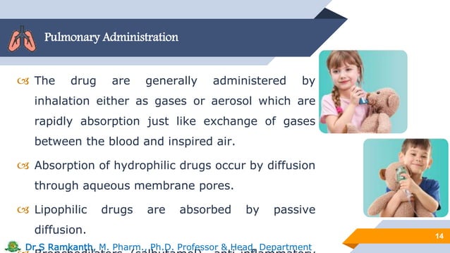 ABSORPTION OF DRUGS - NON PER ORAL - EXTRA VASCULAR ROUTES | PPTX ...