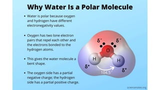 Nonpolar and Polar Molecules - Science -11.pptx