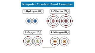 Nonpolar and Polar Molecules - Science -11.pptx
