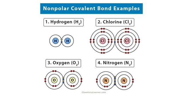 Nonpolar and Polar Molecules - Science -11.pptx