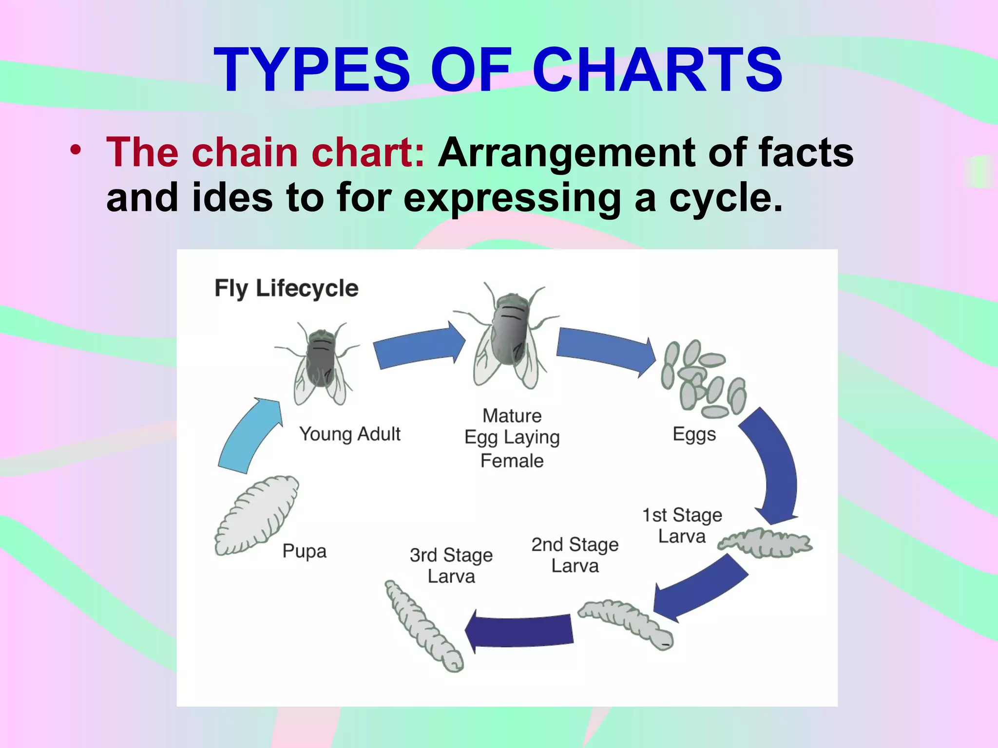 Non Projected AV Aids | PPT