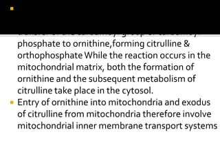 Non protein aminoacids, | PPTX