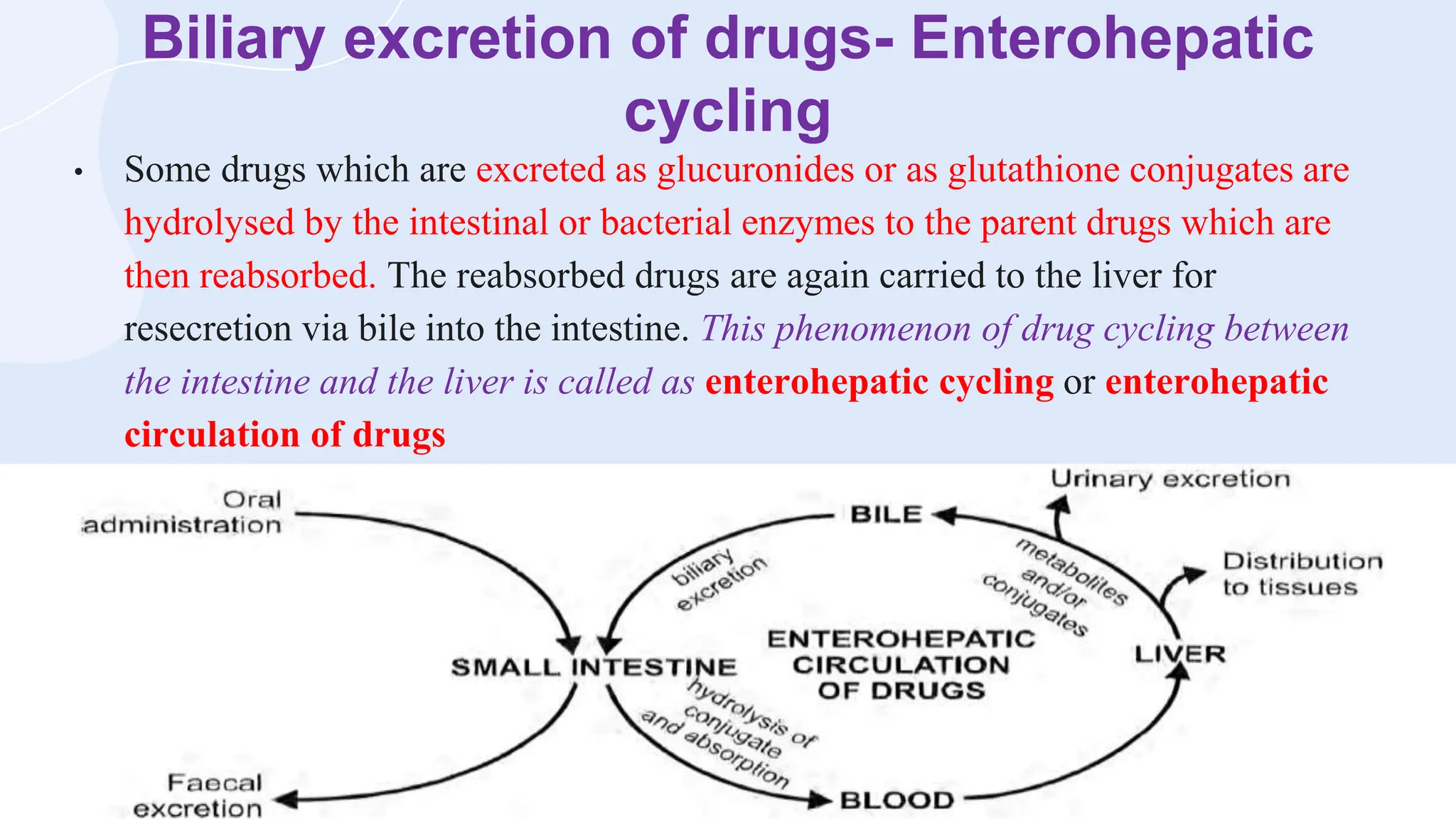 Non renal routes of excretion For pharmacy students | PPTX