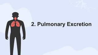 Non renal routes of excretion For pharmacy students | PPTX