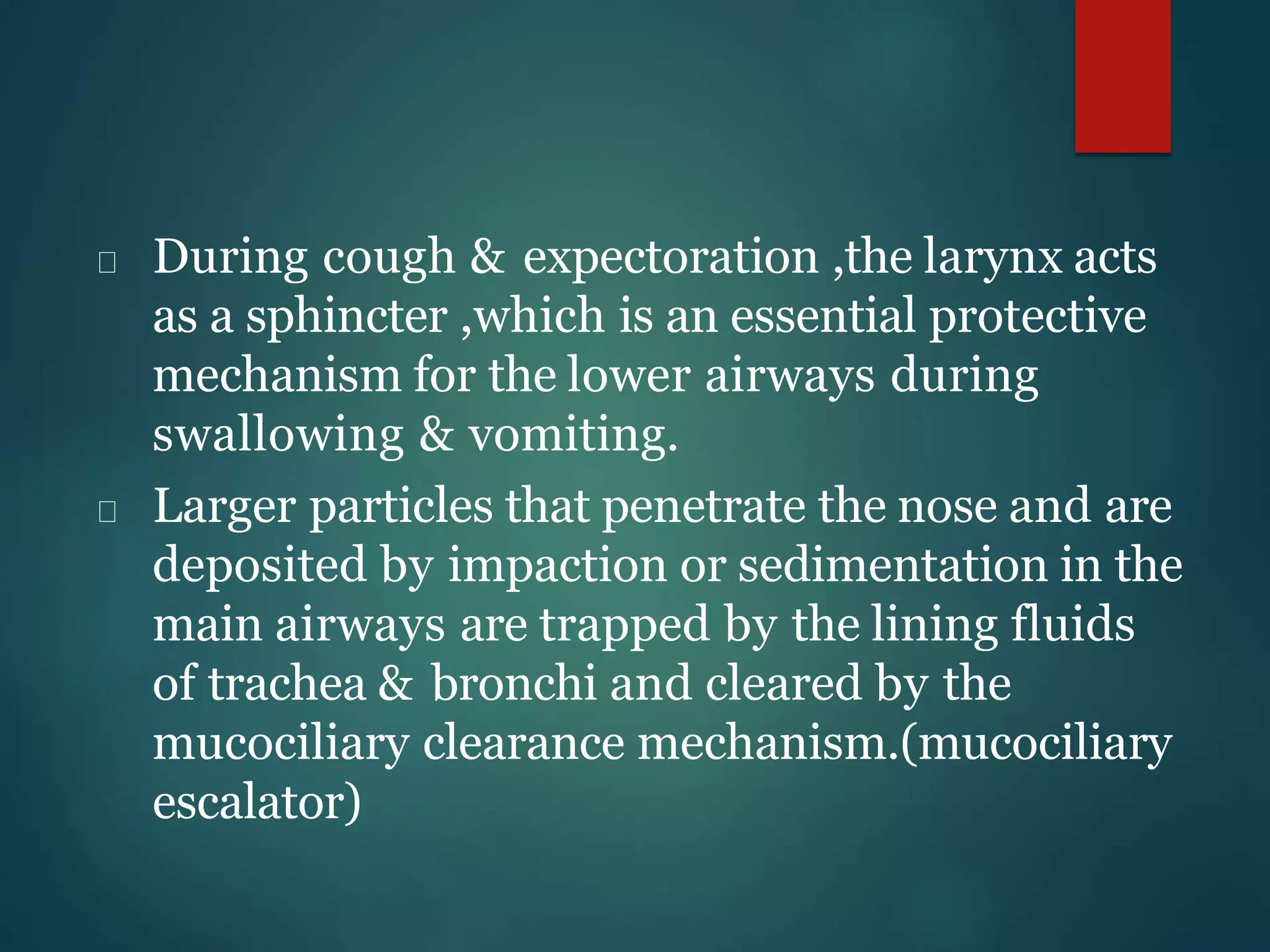 Non respiratory functions of lungs | PPTX