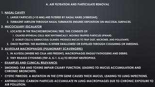 non respiratory functions of lungs (respiratory system) | PPTX