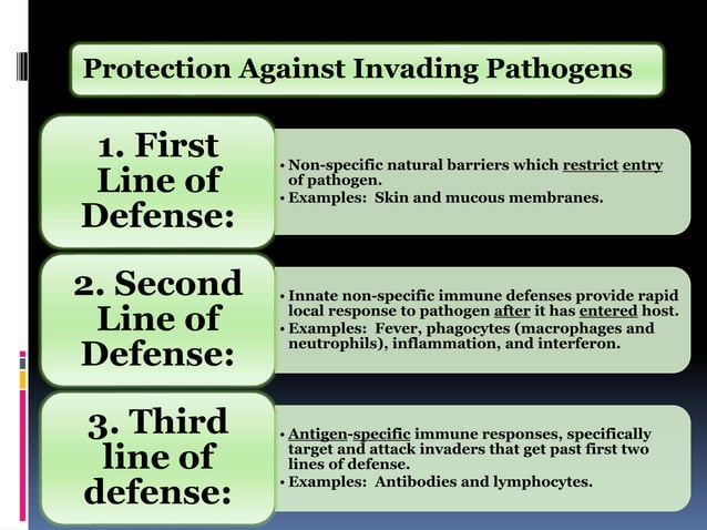 Non-Specific Immune Response | PPTX