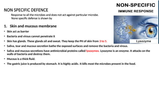 NON SPECIFIC IMMUNE SYSTEM..........pptx