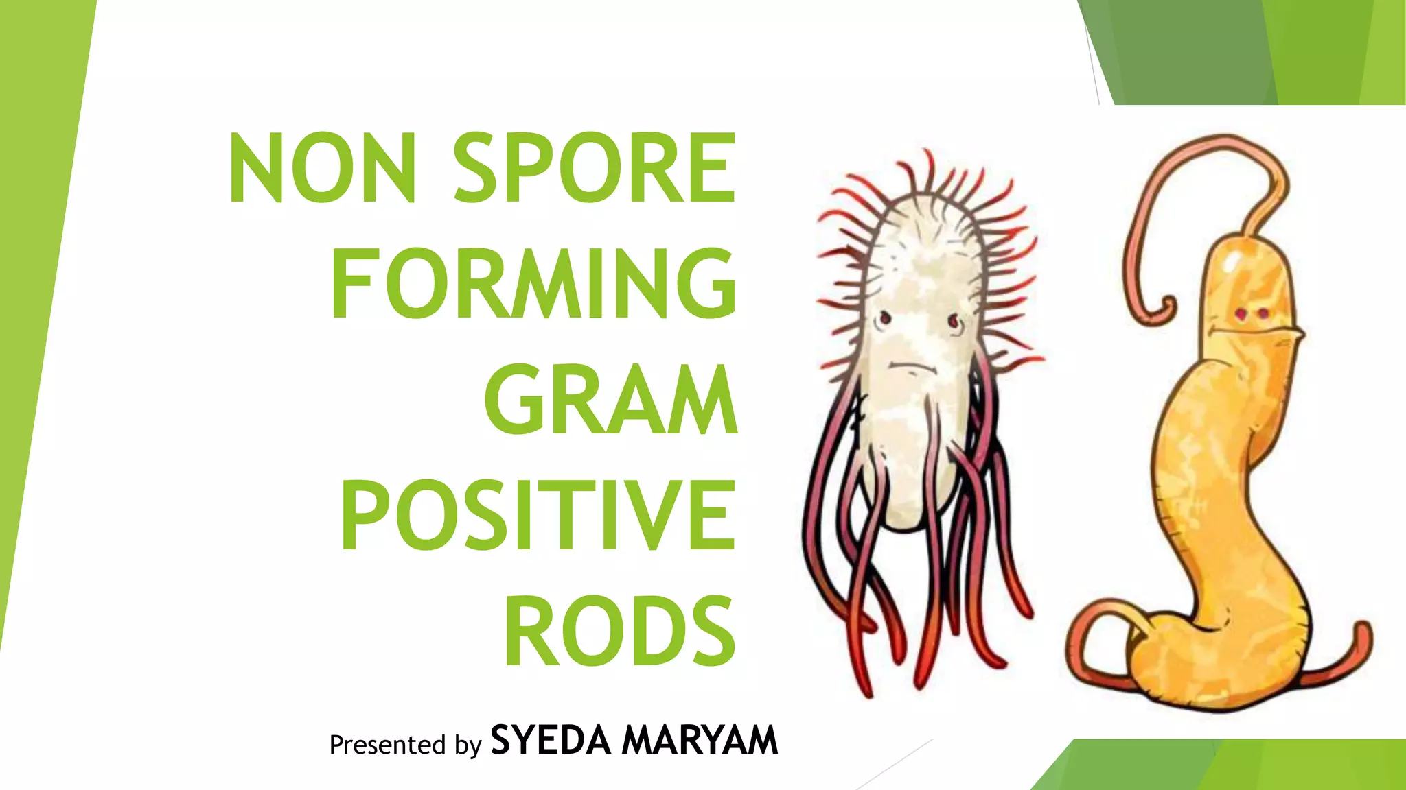 gram positive rods (Non spore forming) | PPTX | Infectious Diseases ...