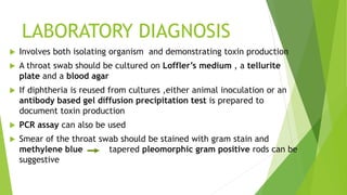 gram positive rods (Non spore forming) | PPTX