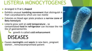 gram positive rods (Non spore forming) | PPTX