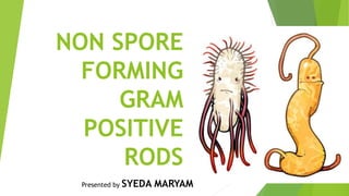 gram positive rods (Non spore forming) | PPTX