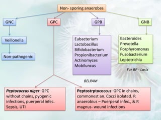 Non – sporing anaerobes | PPTX
