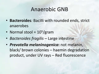 Non – sporing anaerobes | PPTX