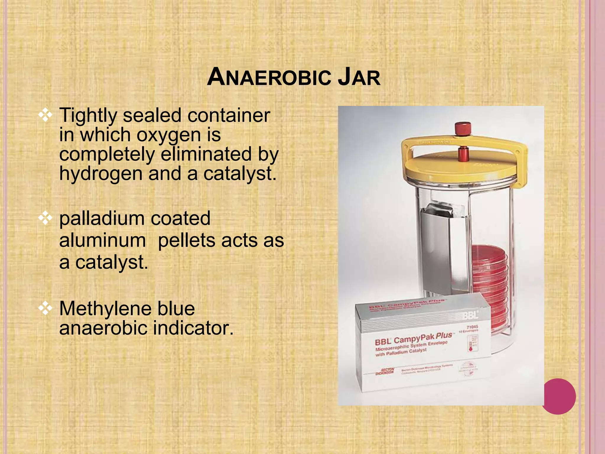 Non sporing anaerobes Naresh | PPTX
