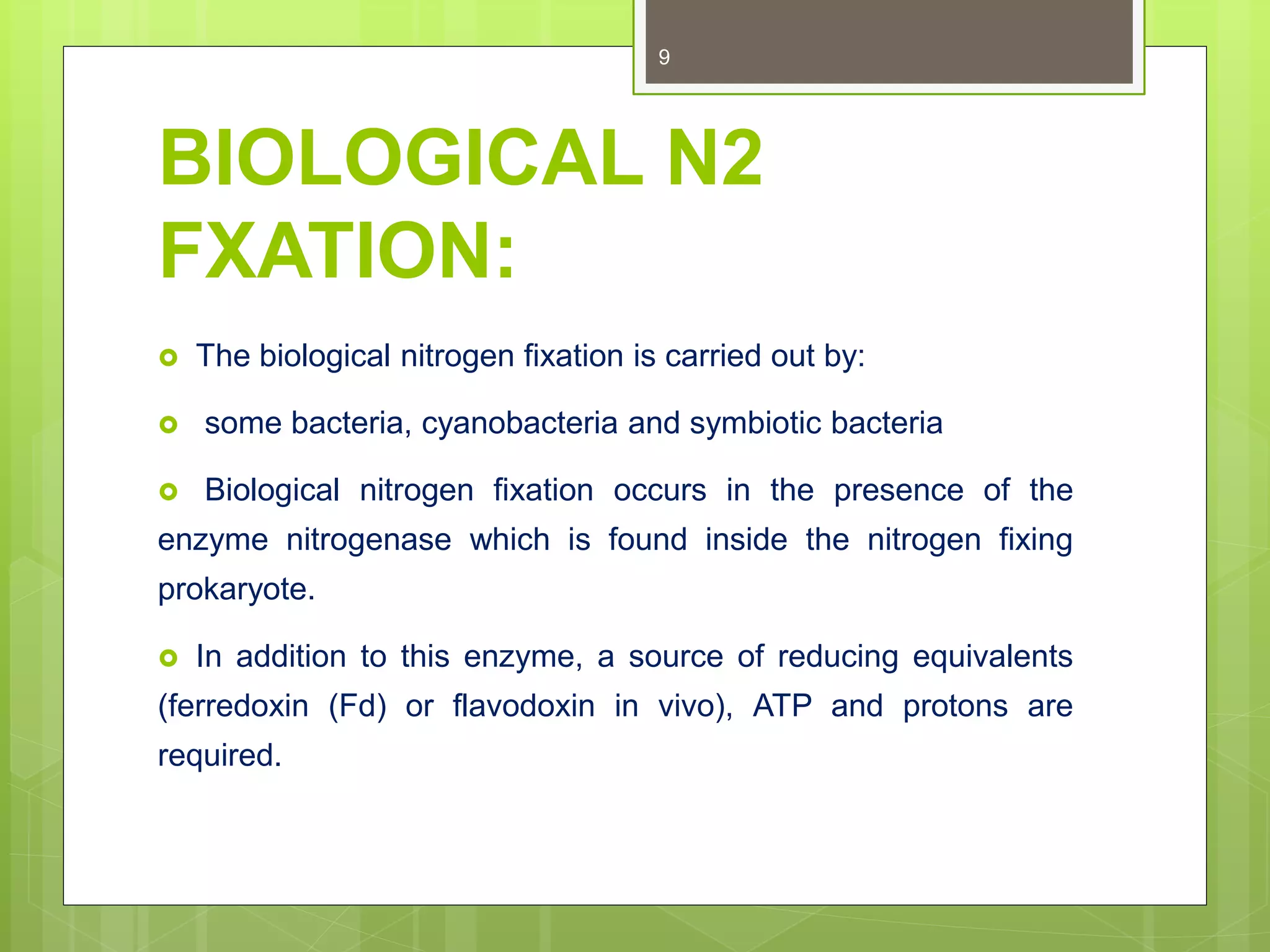 Non symbiotic nitrogen fixers. | PPTX