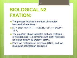 Non symbiotic nitrogen fixers. | PPT