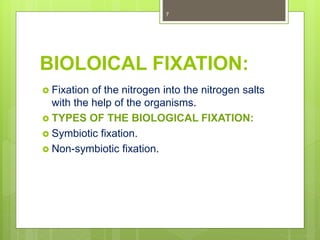 Non symbiotic nitrogen fixers. | PPT