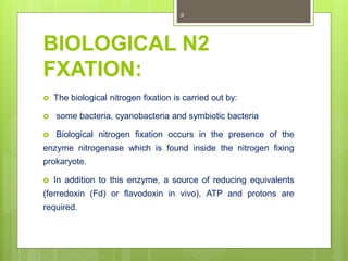 Non symbiotic nitrogen fixers. | PPT