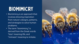 Non Text Magic Studio Magic Design for Presentations L&P.pptx