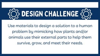Non Text Magic Studio Magic Design for Presentations L&P.pptx