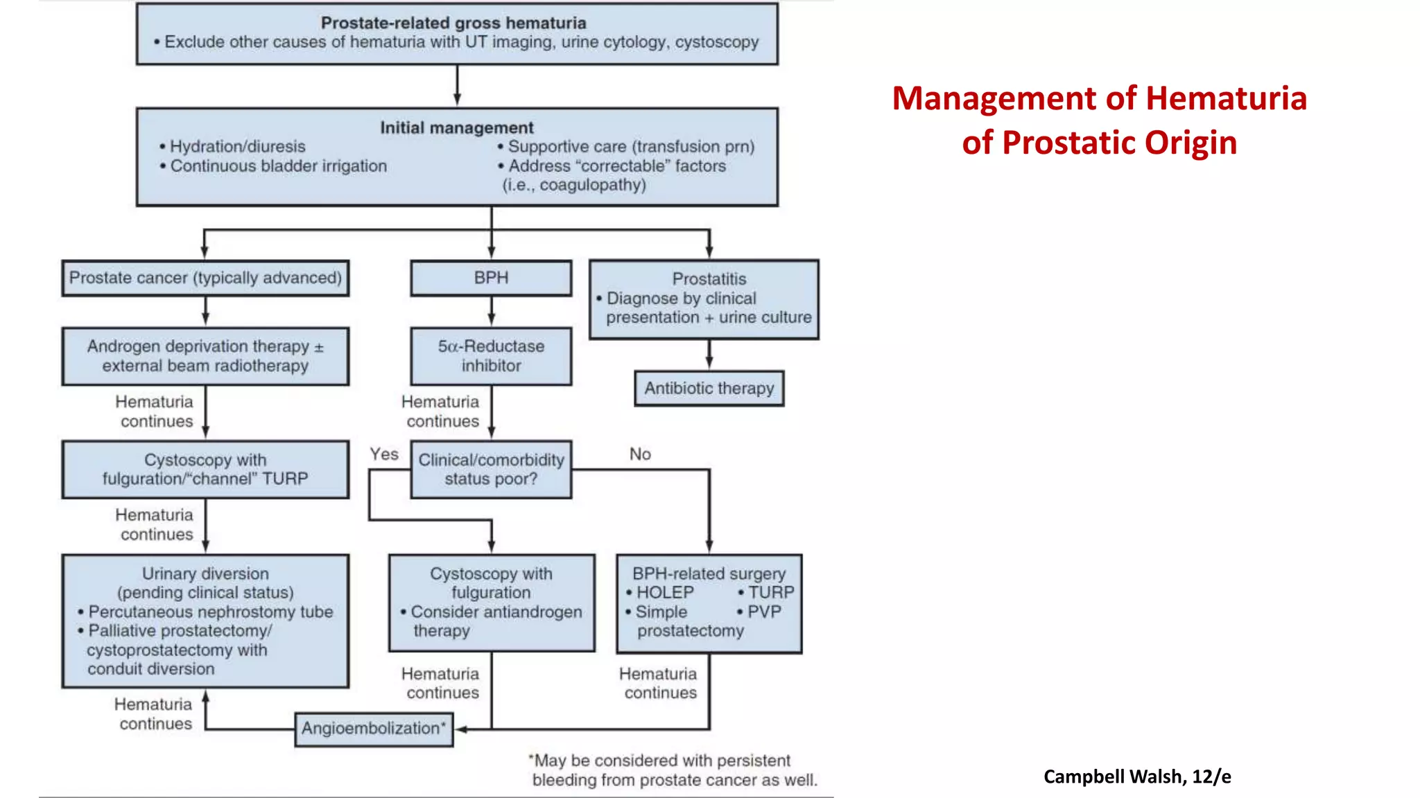 Non traumatic hematuria - Workup and Management | PPTX