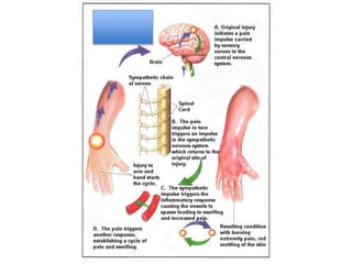 Nontraumatic musculoskeletal disorders | PPTX