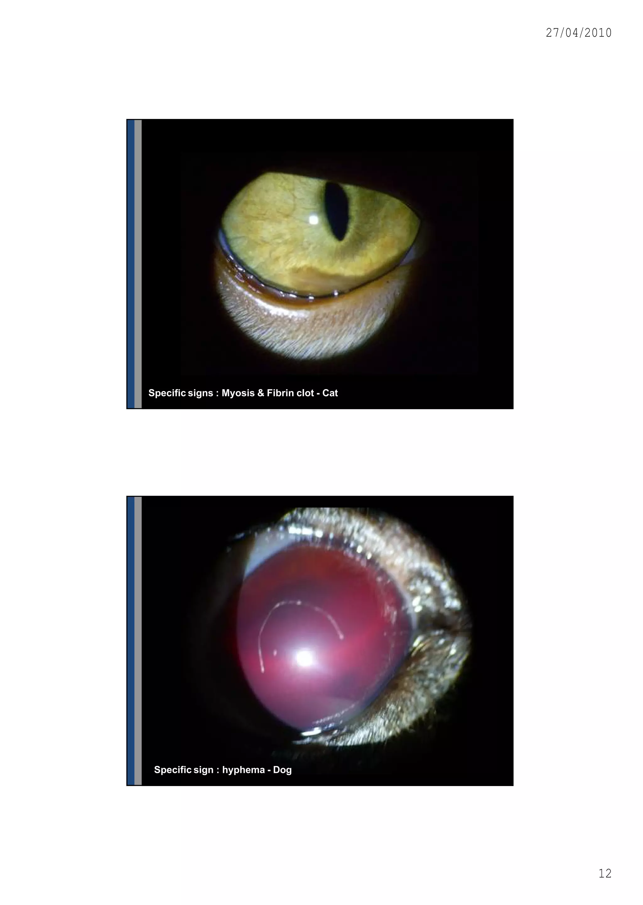 Non traumatic ocular_emergencies | PDF
