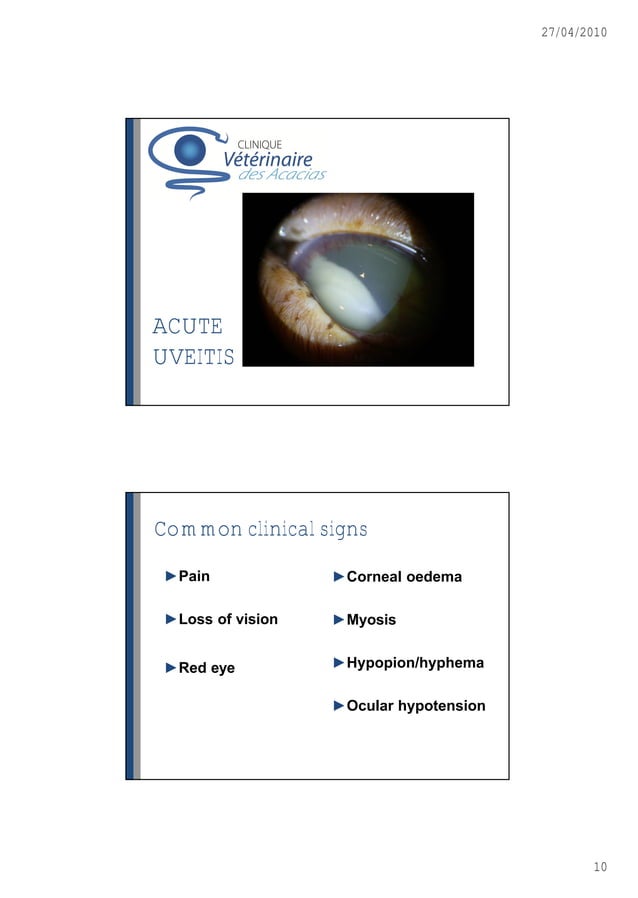 Non traumatic ocular_emergencies | PDF