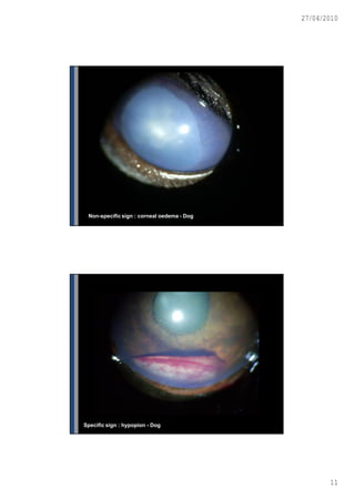 Non traumatic ocular_emergencies | PDF