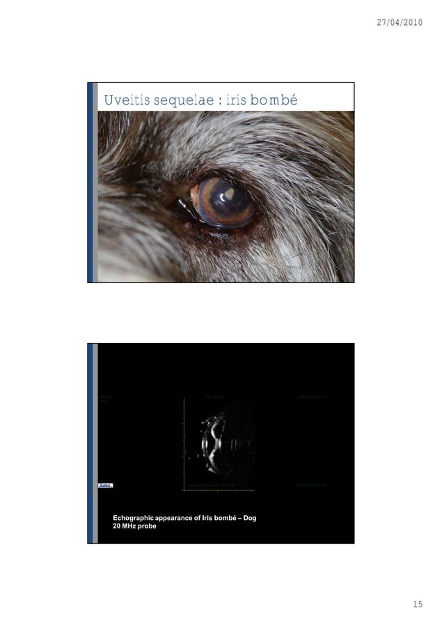 Non traumatic ocular_emergencies | PDF