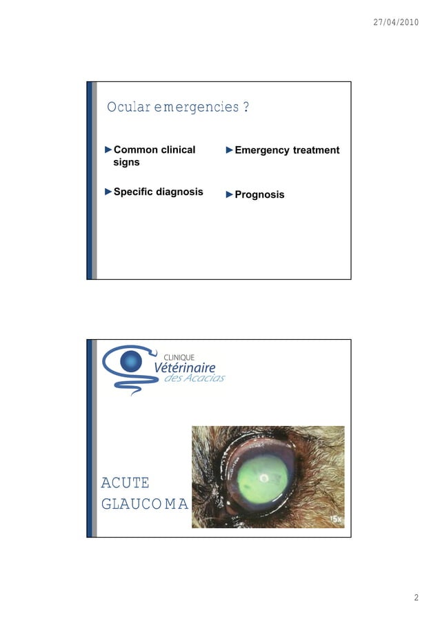 Non traumatic ocular_emergencies | PDF
