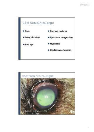 Non traumatic ocular_emergencies | PDF