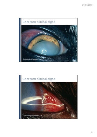 Non traumatic ocular_emergencies | PDF
