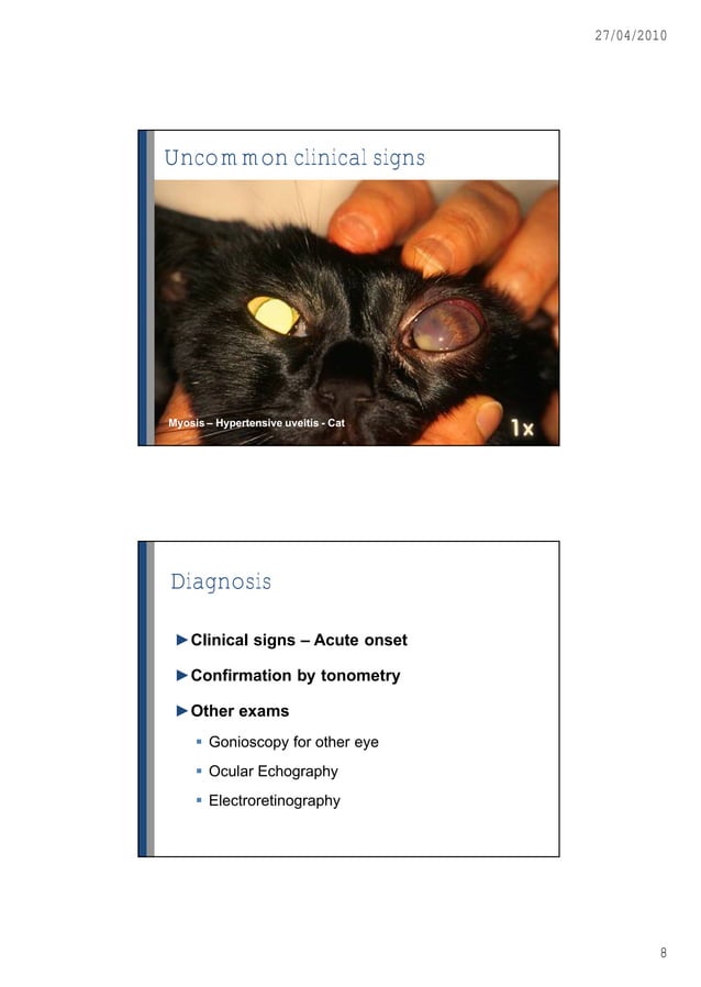 Non traumatic ocular_emergencies | PDF