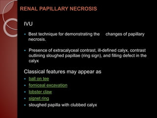 Imaging of Non tubercular infections of the urinary tract | PPTX