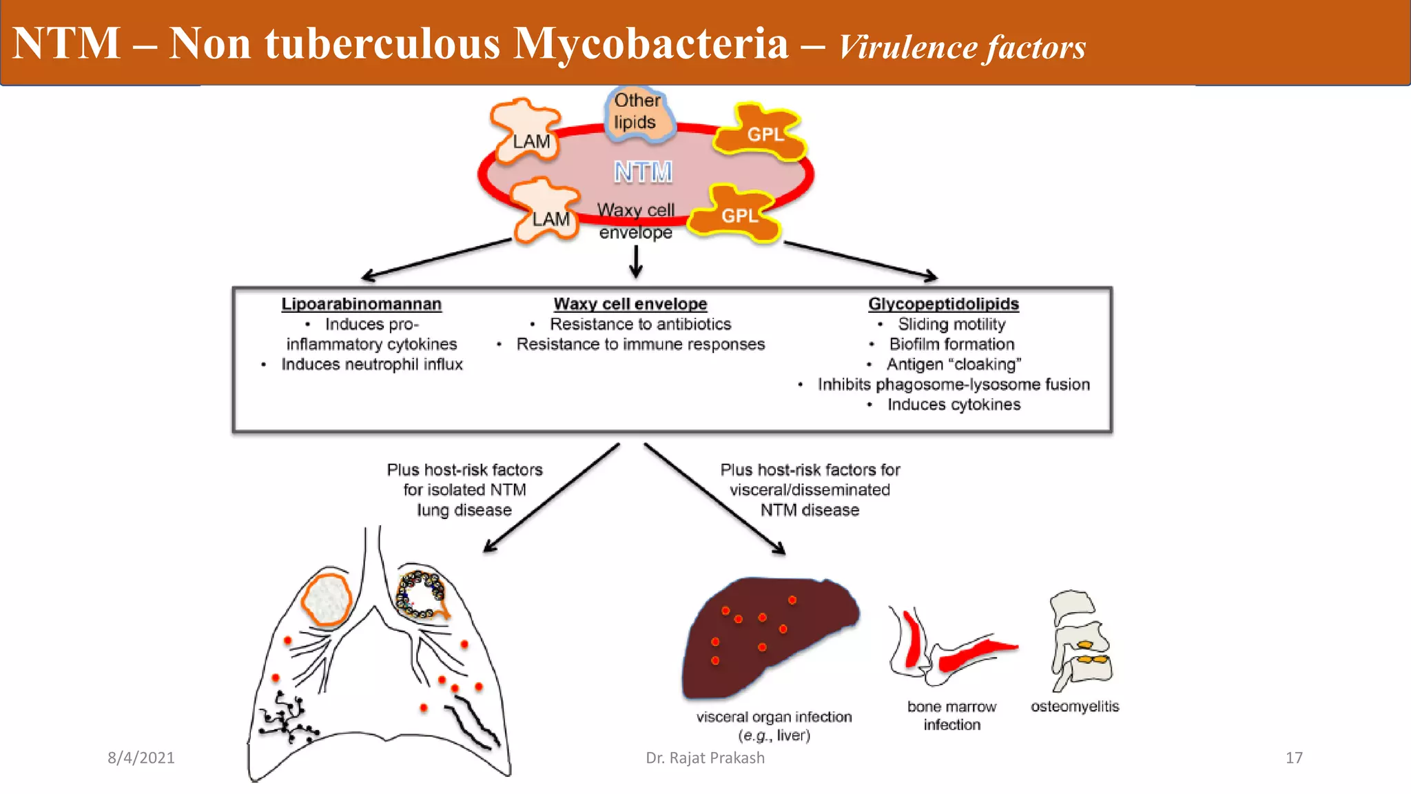 Non tuberculous mycobacteria | PDF