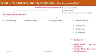 Non tuberculous mycobacteria | PDF