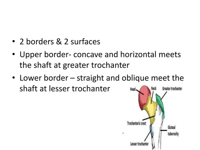 Nonunion femoral neck fractures | PPTX | Death, Injury, or Military ...