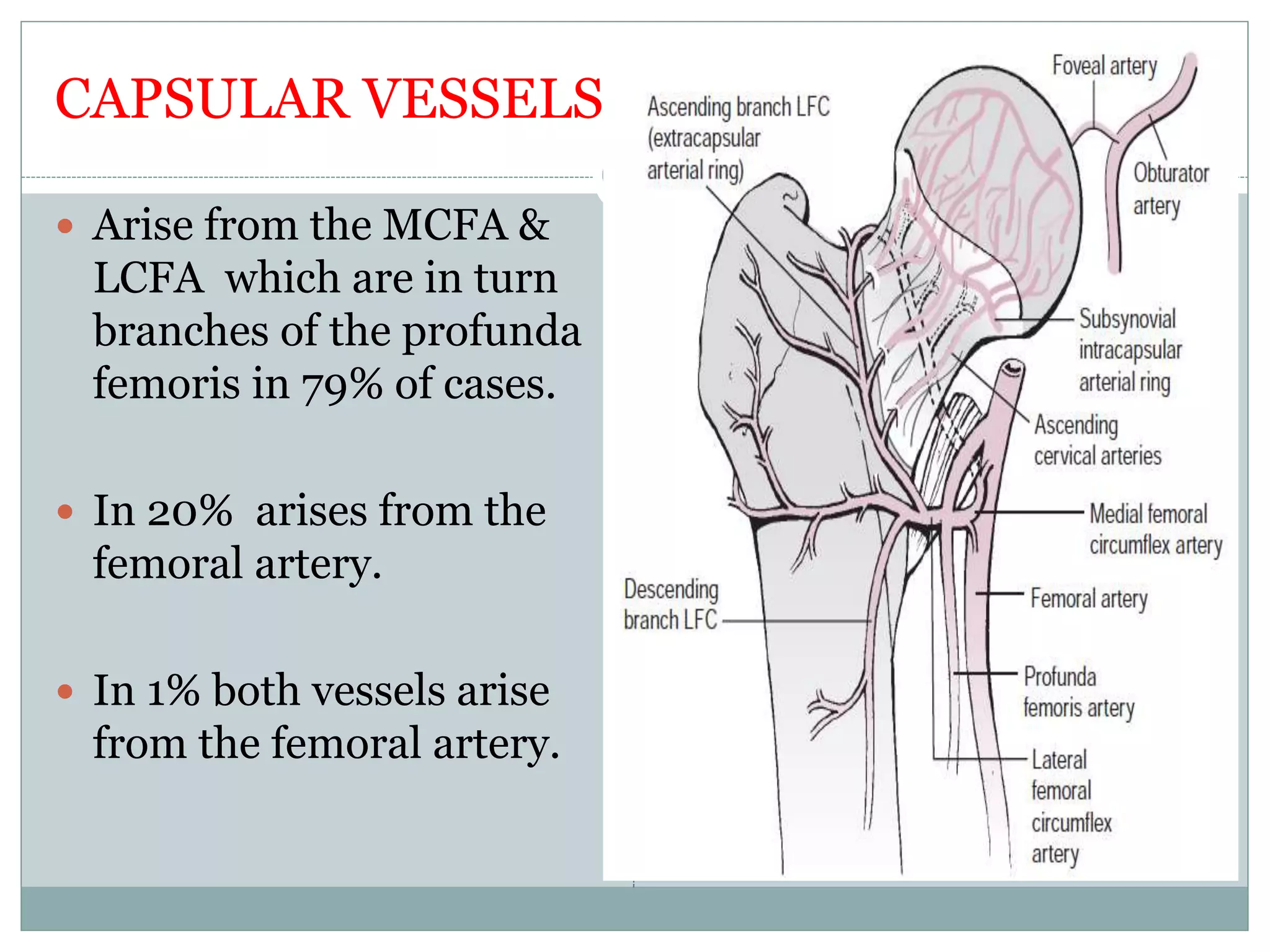 Non union neck of femur | PPTX