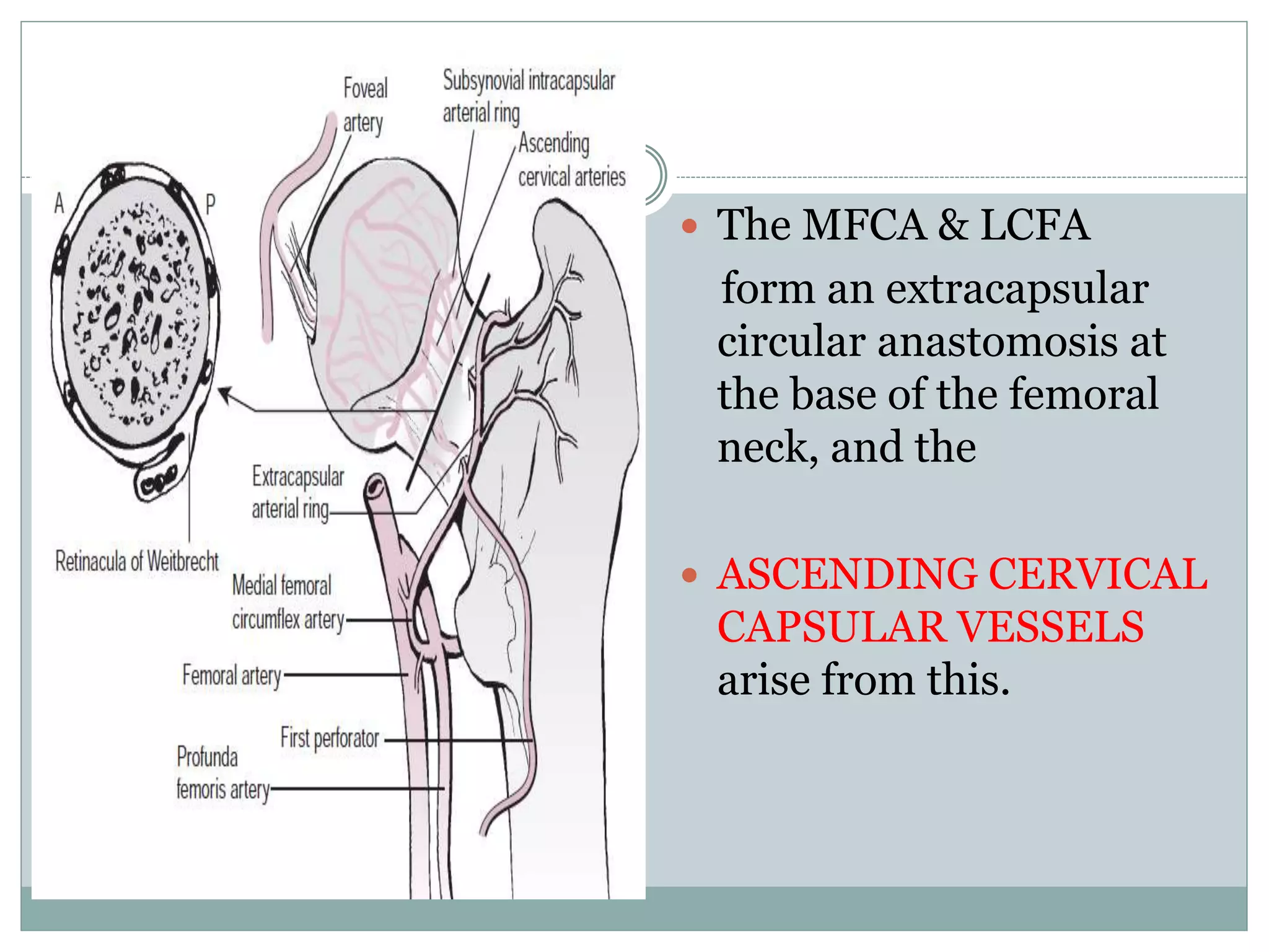 Non union neck of femur | PPTX