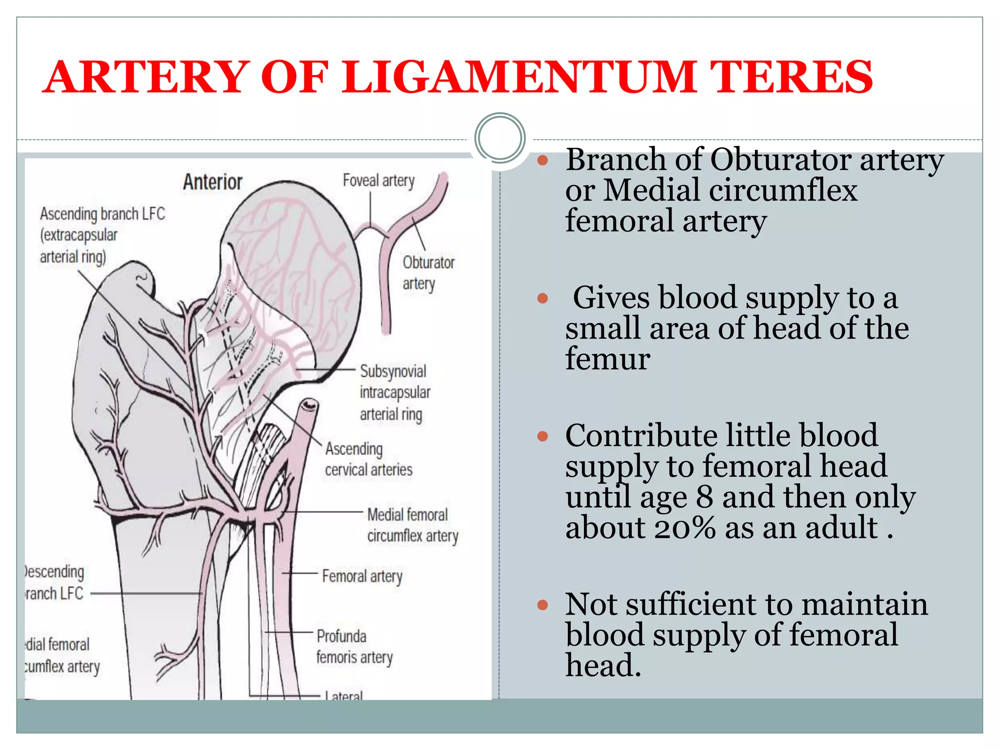 Non union neck of femur | PPTX