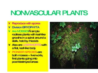 Nonvascular plants | PPT | Gardening | Home & Garden