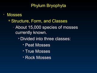 Nonvascularplants | PPT