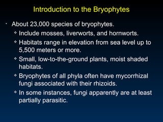 Nonvascularplants | PPT